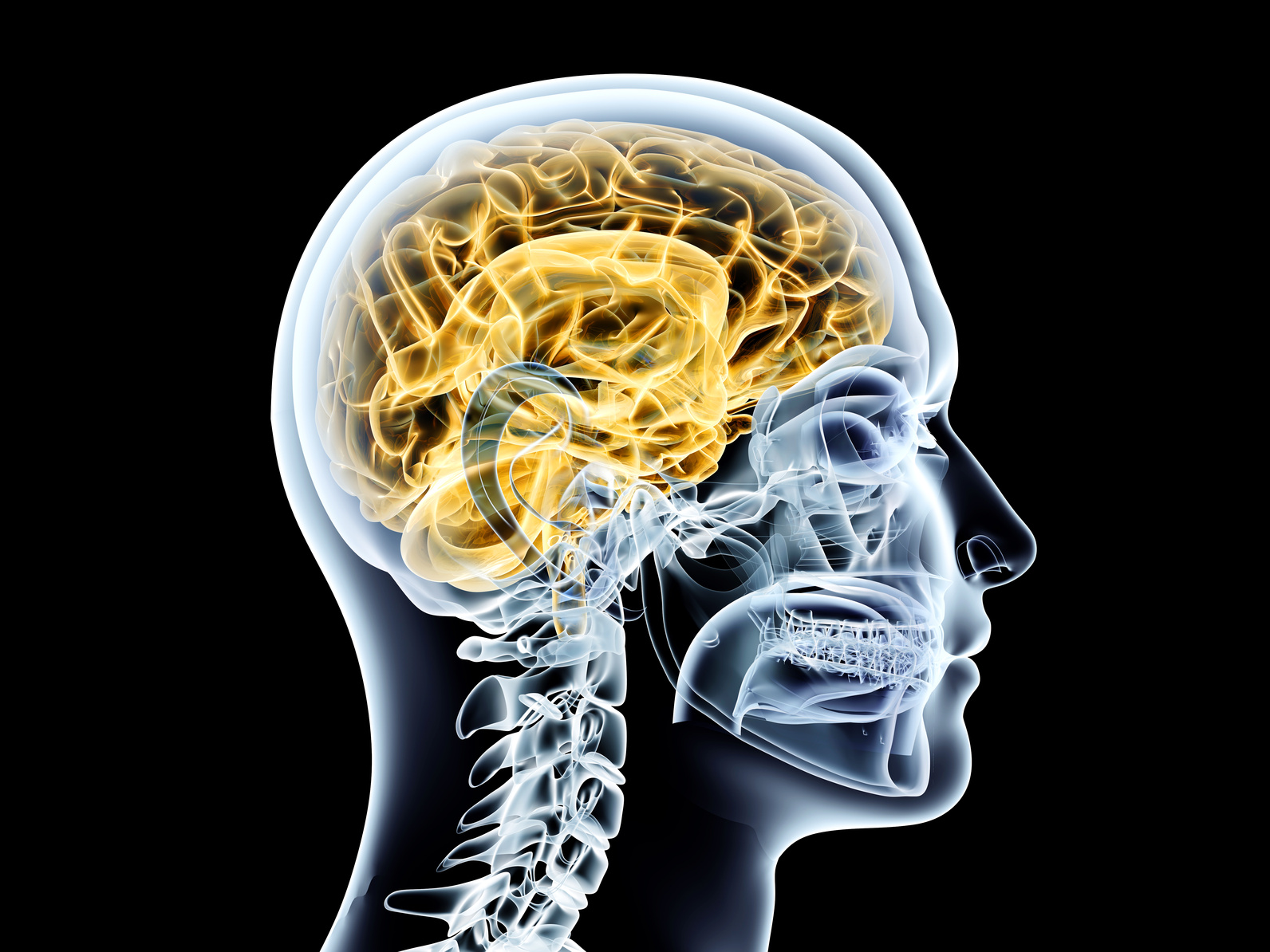 The Importance Of Imagery In Sport The UK s Leading Sports Psychology